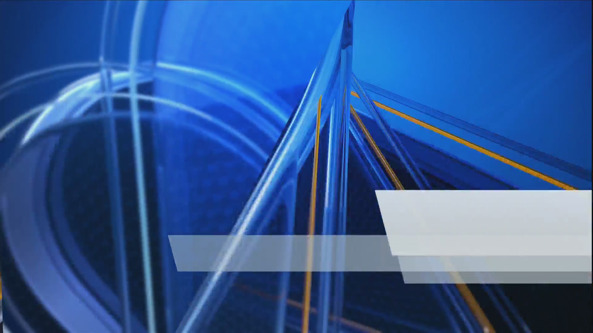 CTS/Coastal Pet Rescue 4pm – WSAV-TV