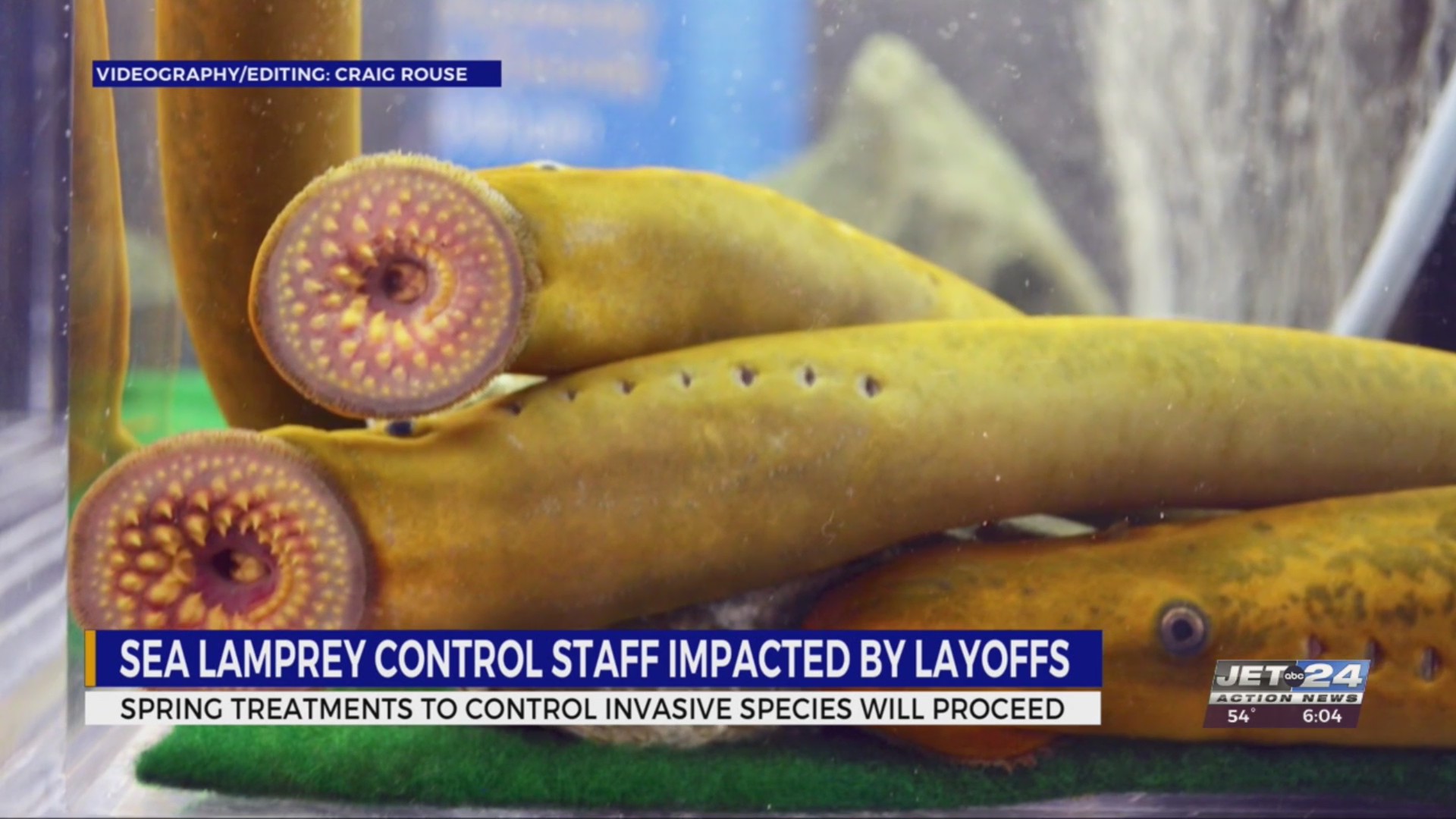 Federal cuts put invasive sea lamprey control efforts in jeopardy ...
