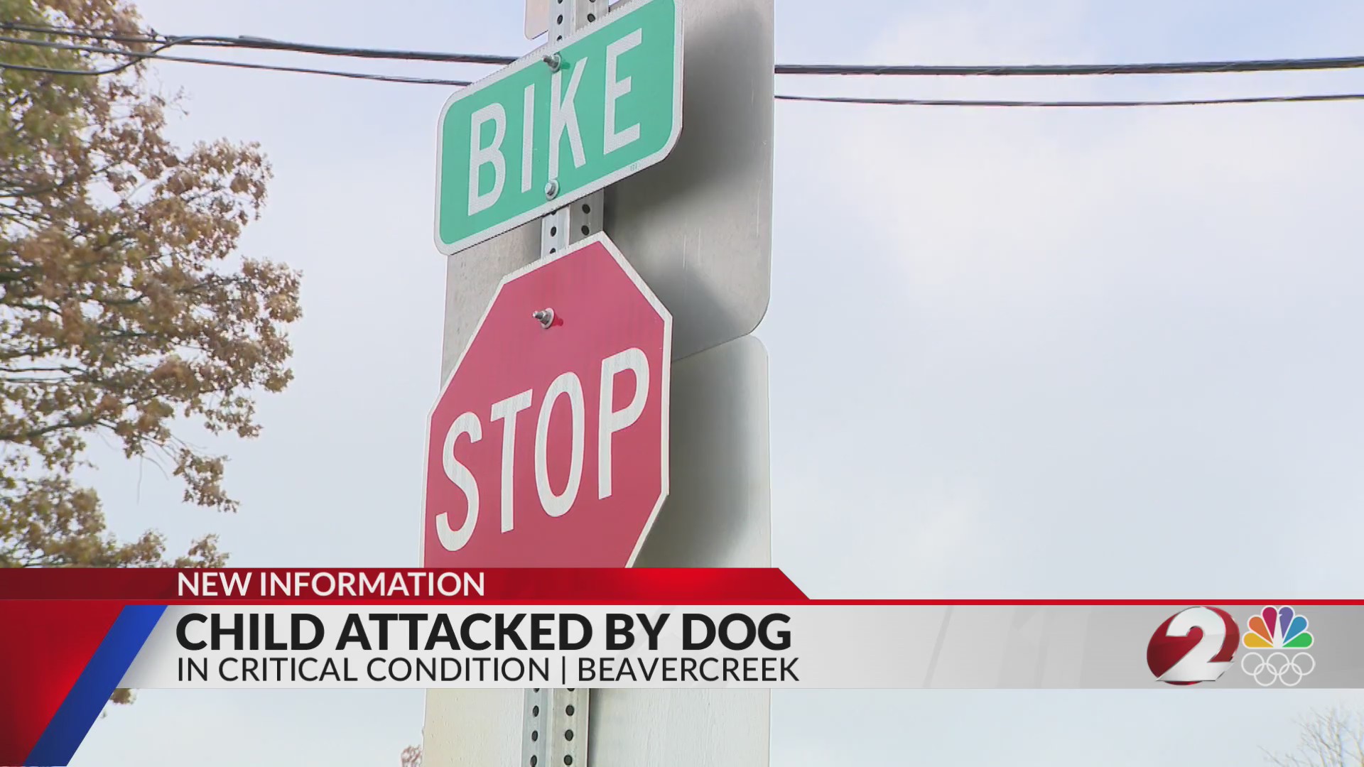 Child attacked by dog in Beavercreek – WDTN.com