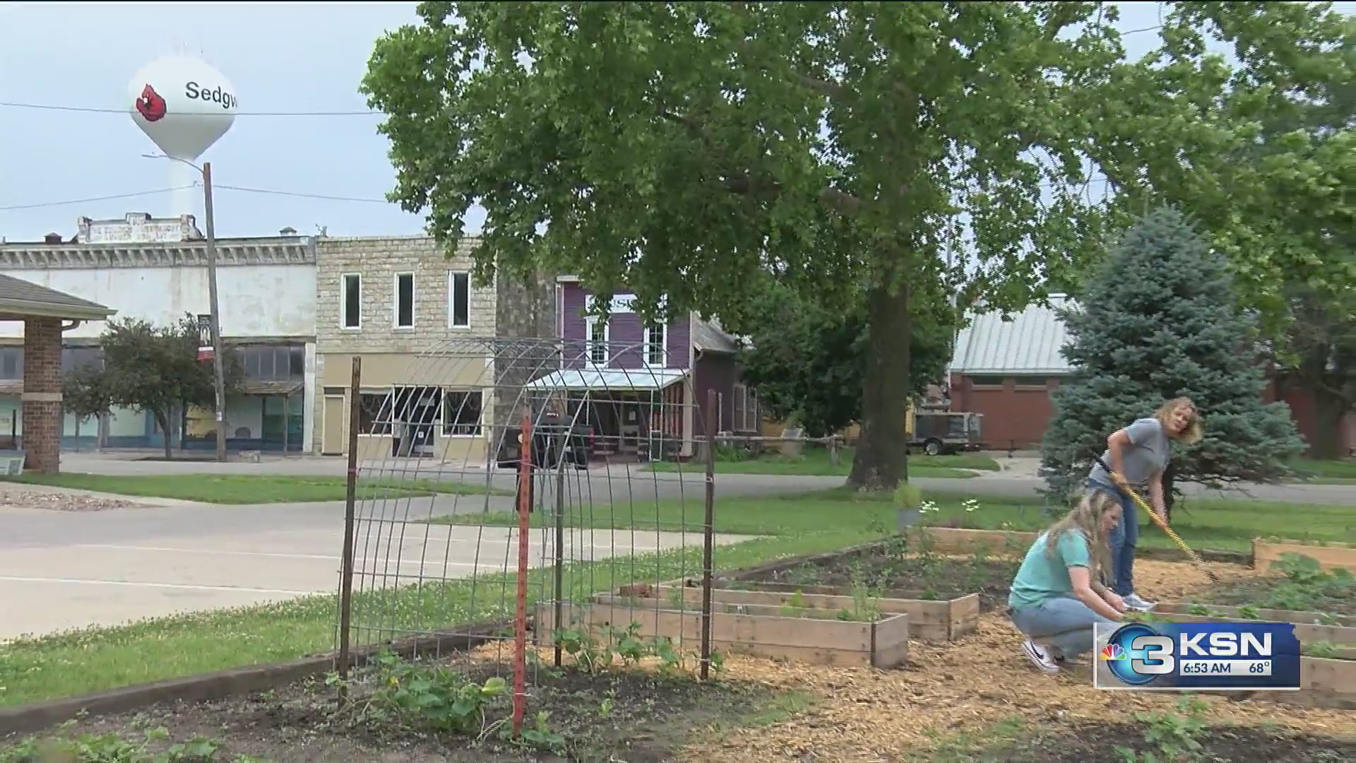 Sedgwick community garden brings fresh produce to pantry – KSN-TV