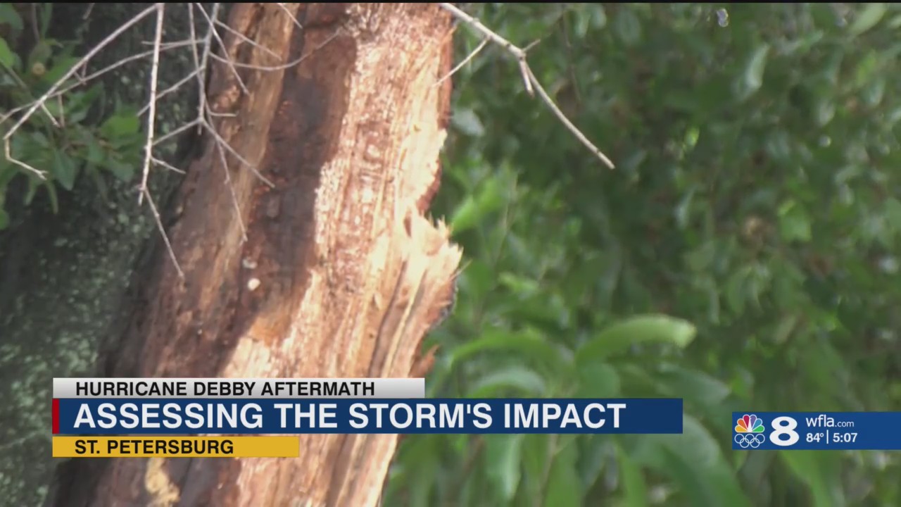 ‘We got lucky’, residents in flood prone Shore Acres react following ...