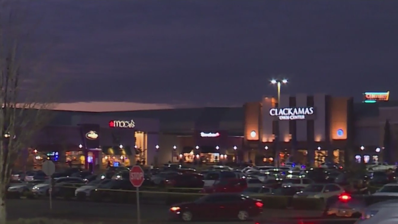 Second arrest made in Clackamas Town Center shooting that injured teen ...