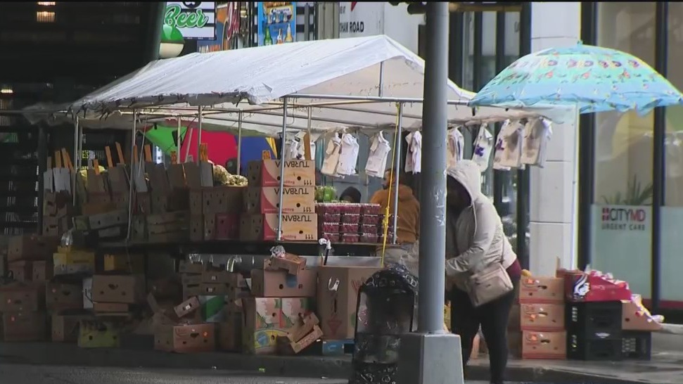 City Council to discuss raising street vendor license cap – PIX11