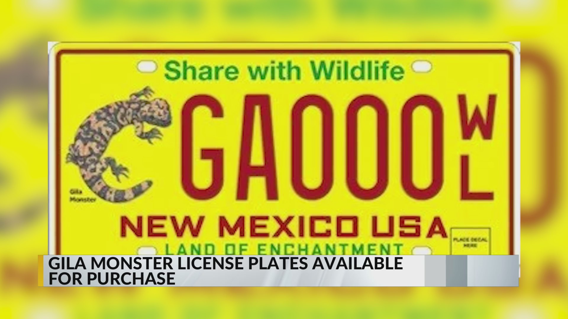 Department of Game and Fish release new Gila Monster license plate ...
