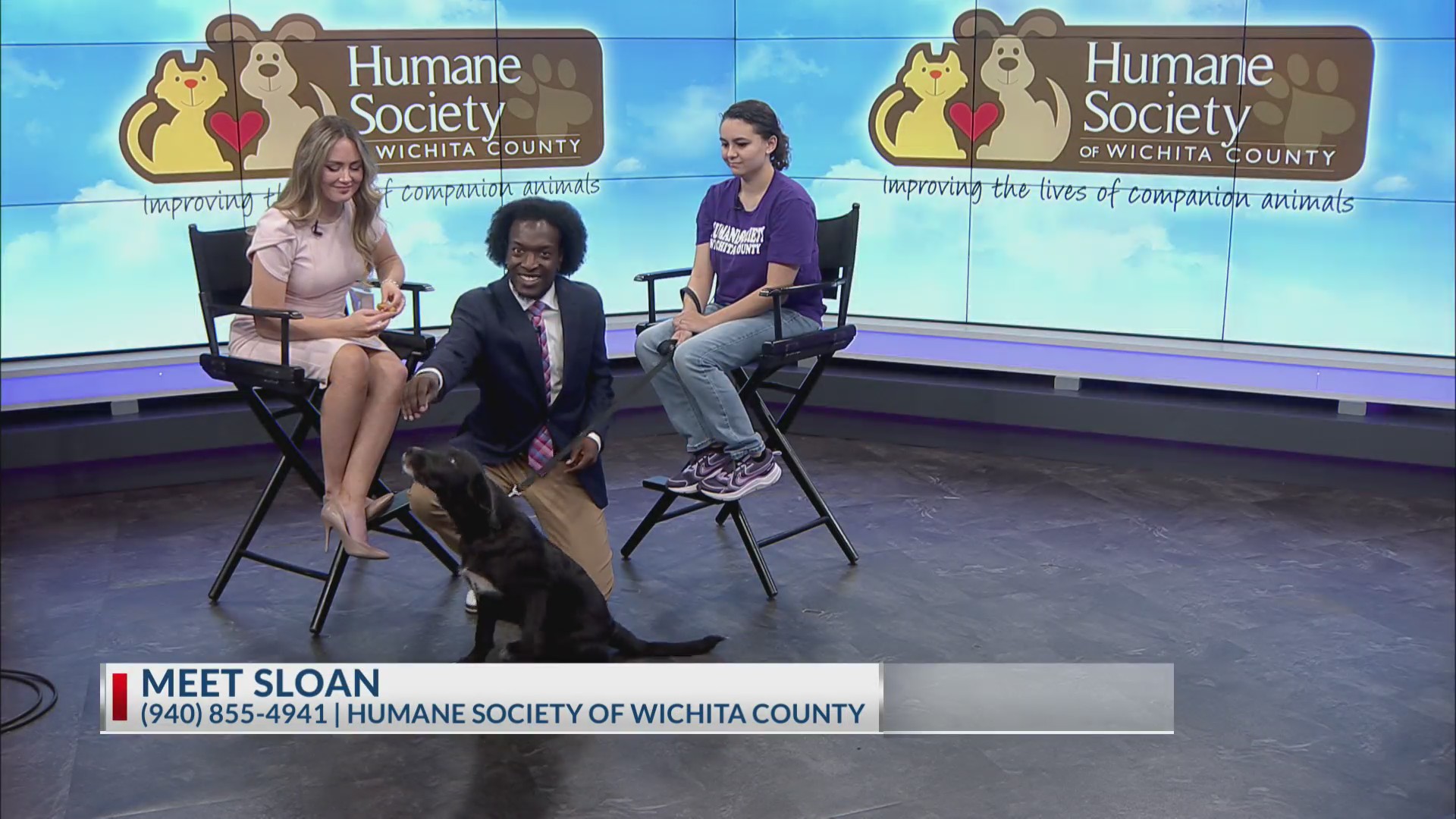 Meet Sloan from the HSWC! – Texomashomepage.com