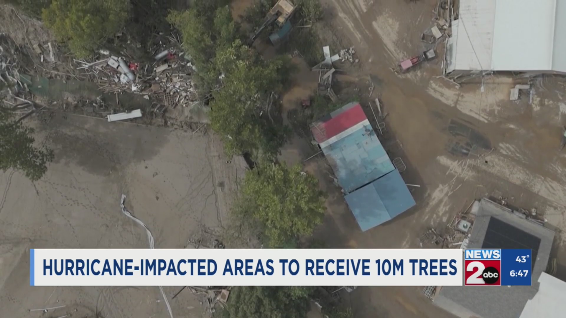 Hurricane-impacted areas to receive 10M trees – WKRN News 2
