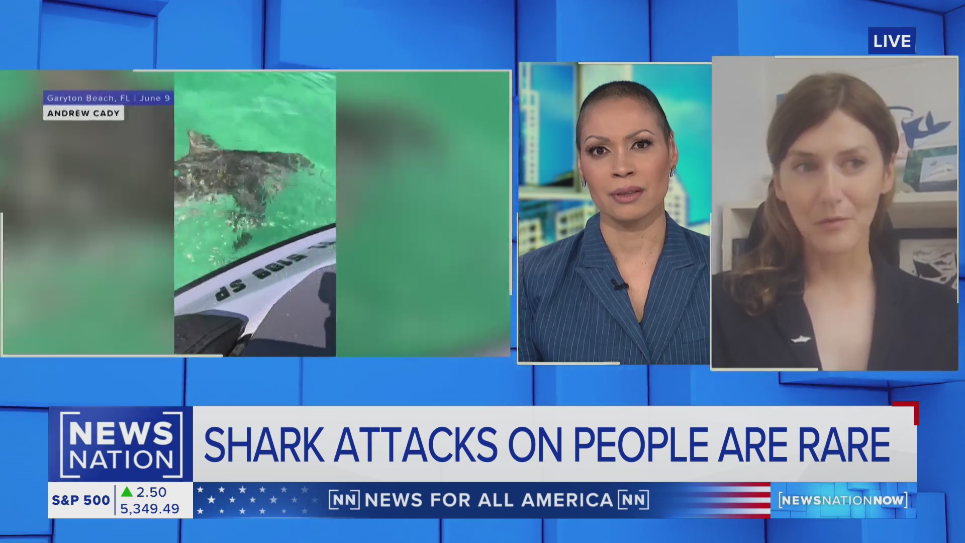 Florida’s back-to-back shark attacks ‘incredibly rare’: Shark ...
