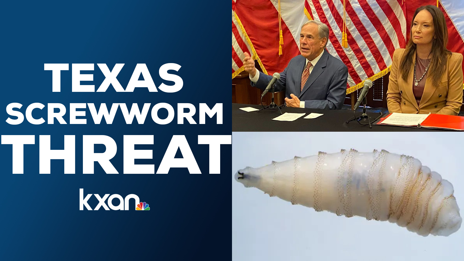 Texas Gov. Abbott addresses screwworm threat: Full press conference ...
