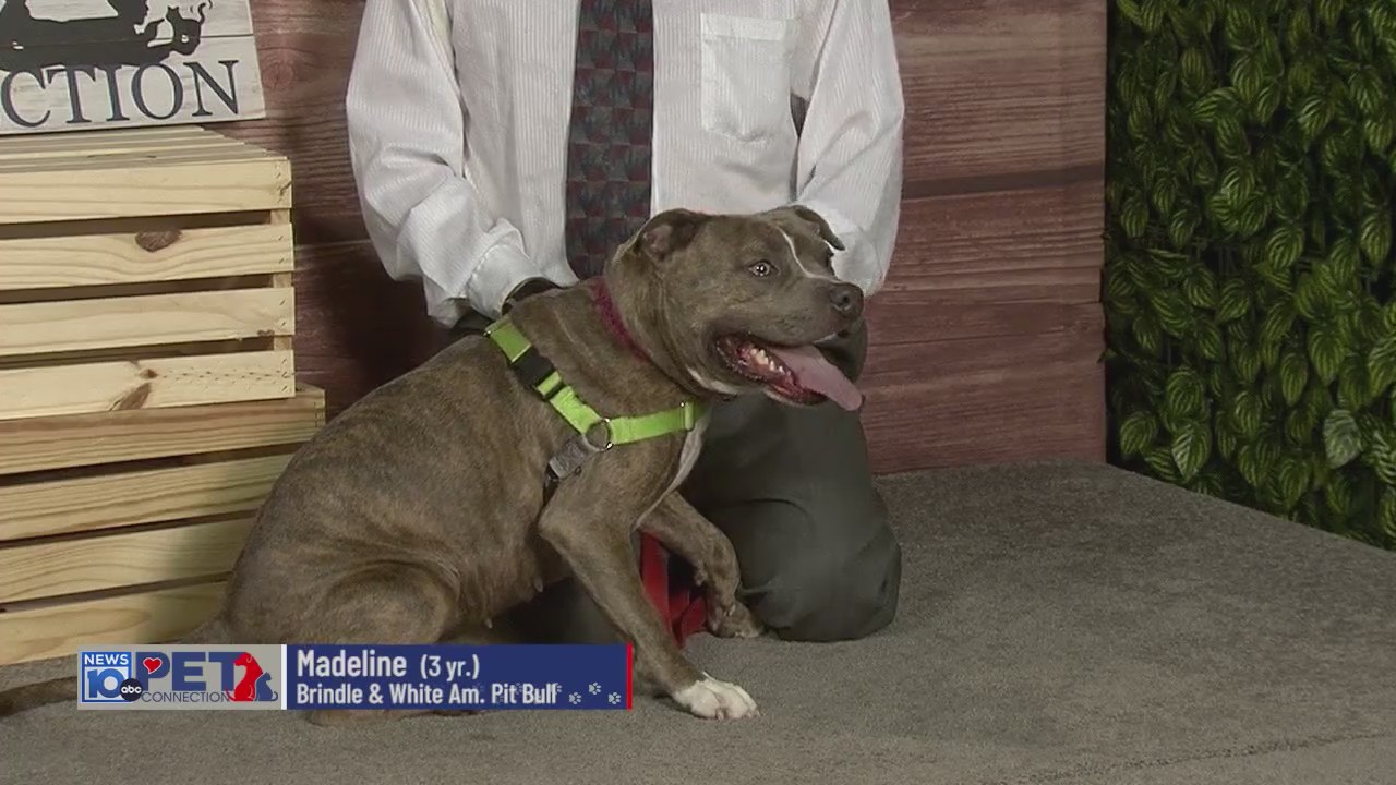 Madeline – NEWS10 ABC