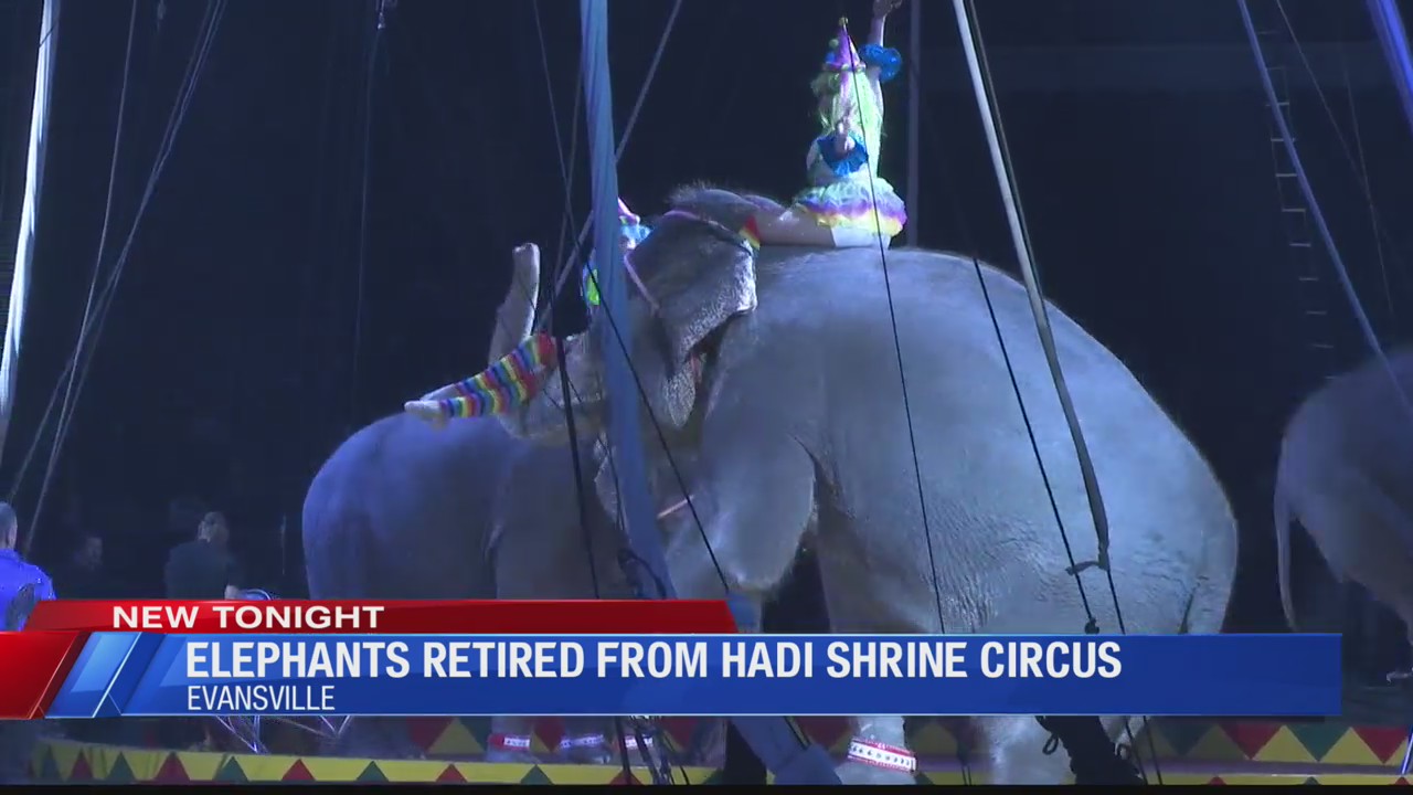 Hadi Shrine Circus retiring elephants from shows – Eyewitness News ...