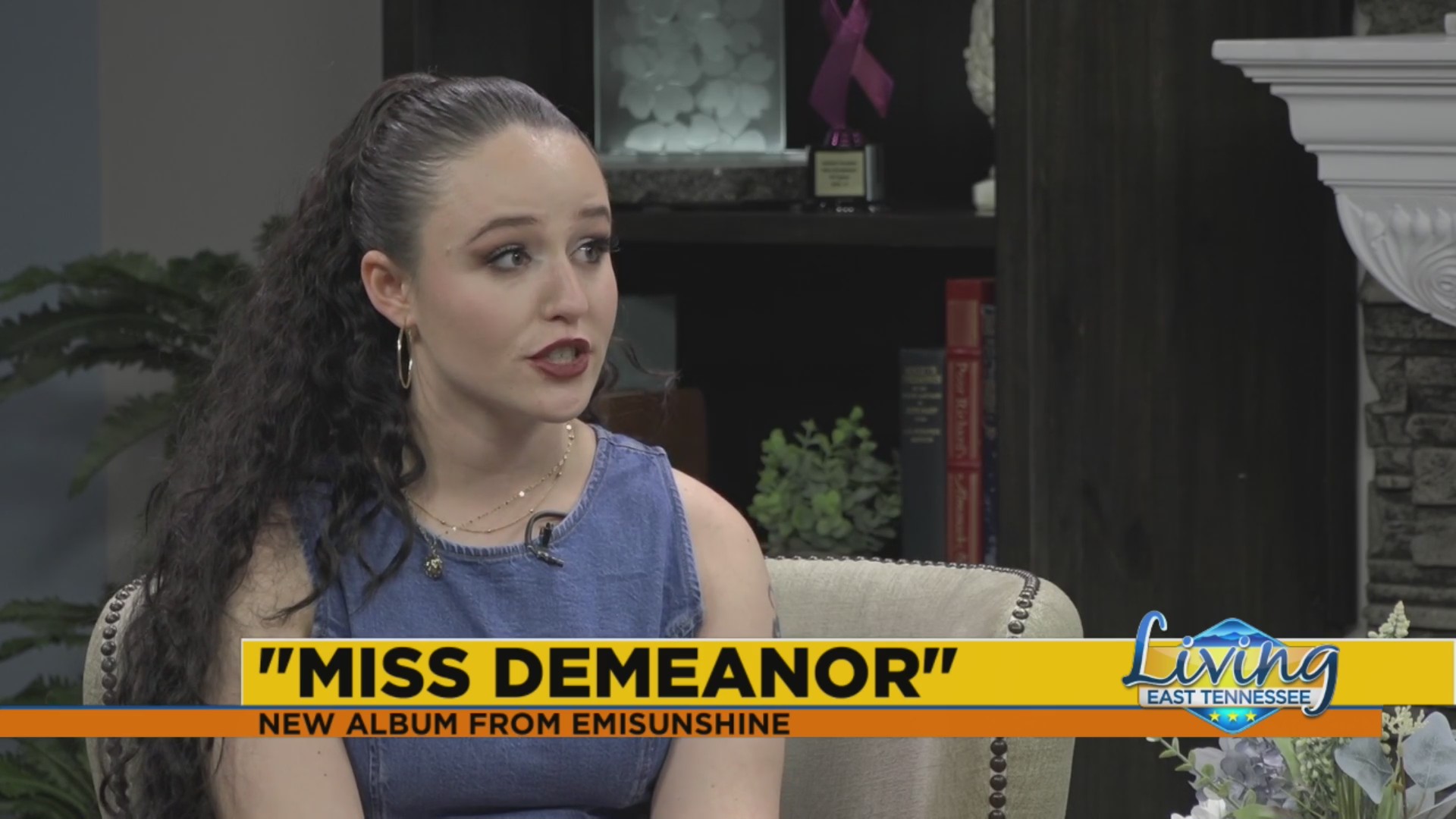 Miss Demeanor part one – WATE 6 On Your Side