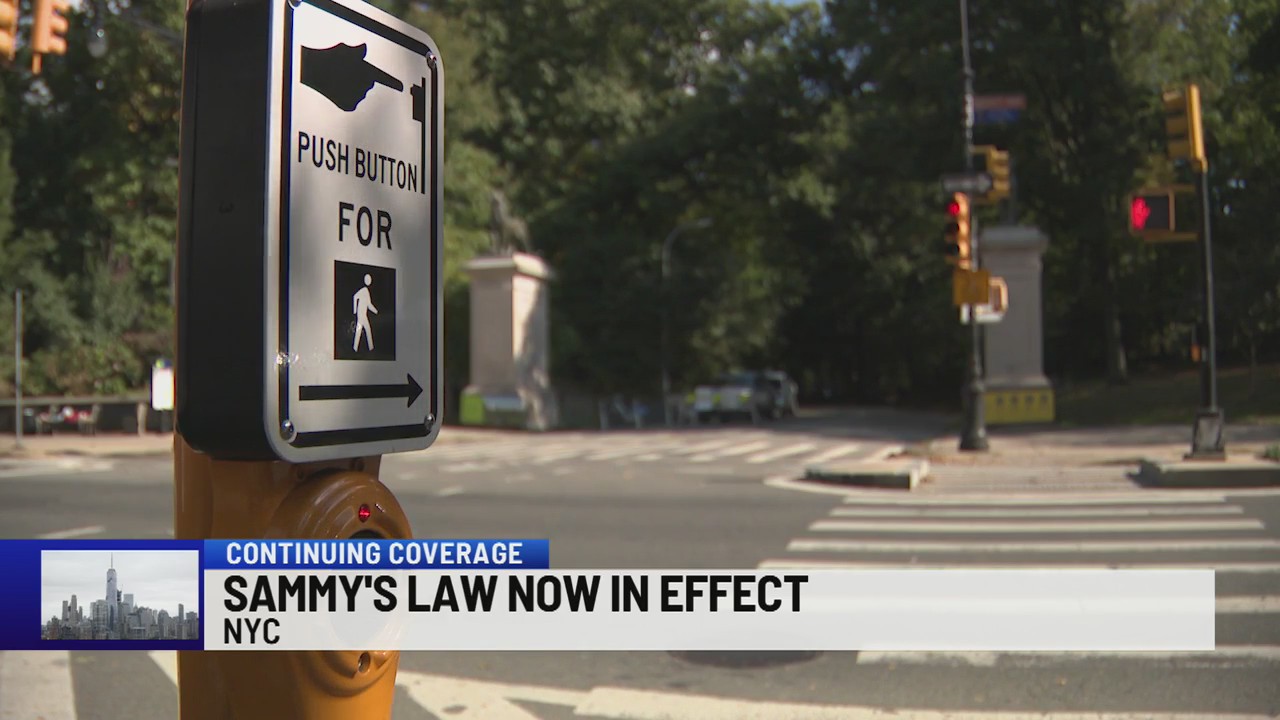 Sammy’s Law now in effect – NEWS10 ABC