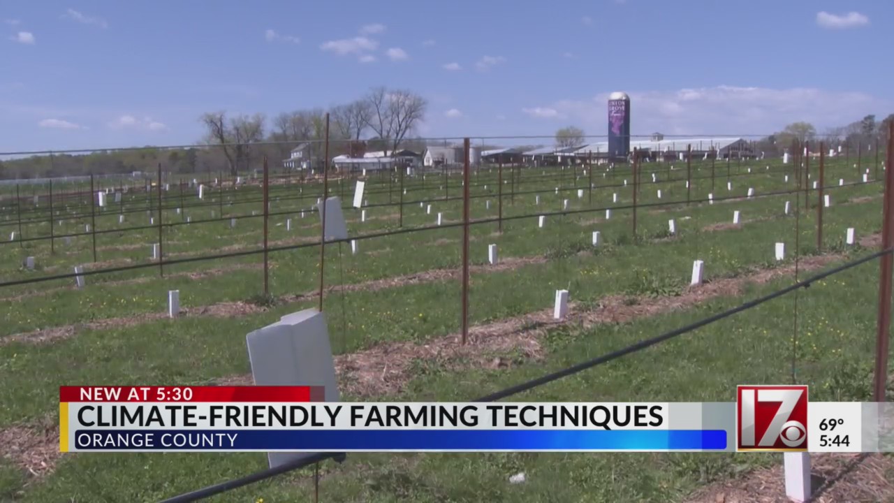 Union Grove Farm in Orange County uses regenerative farming to grow ...