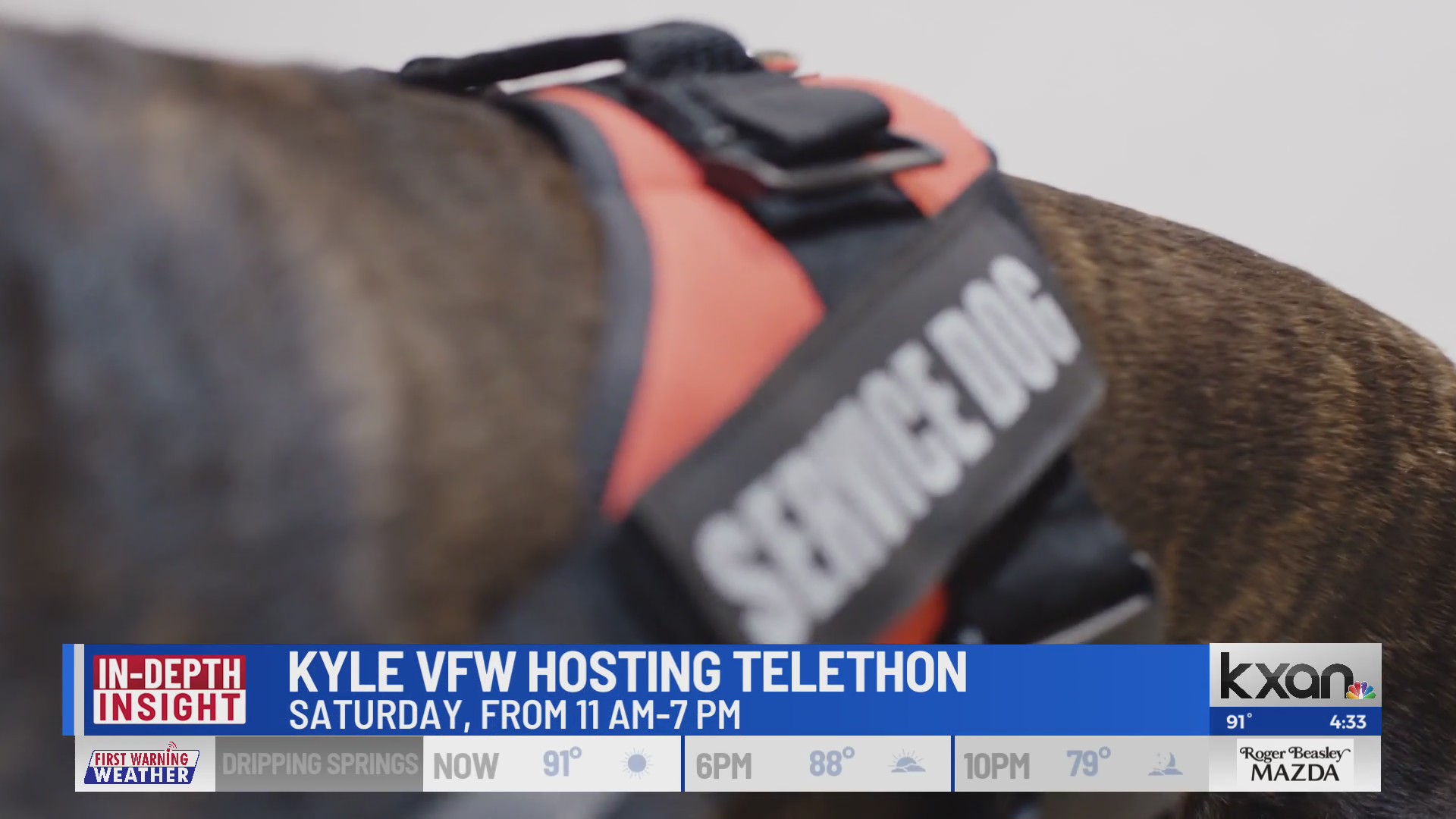 Insight: Kyle VFW hosting telethon for veterans service dogs – KXAN Austin