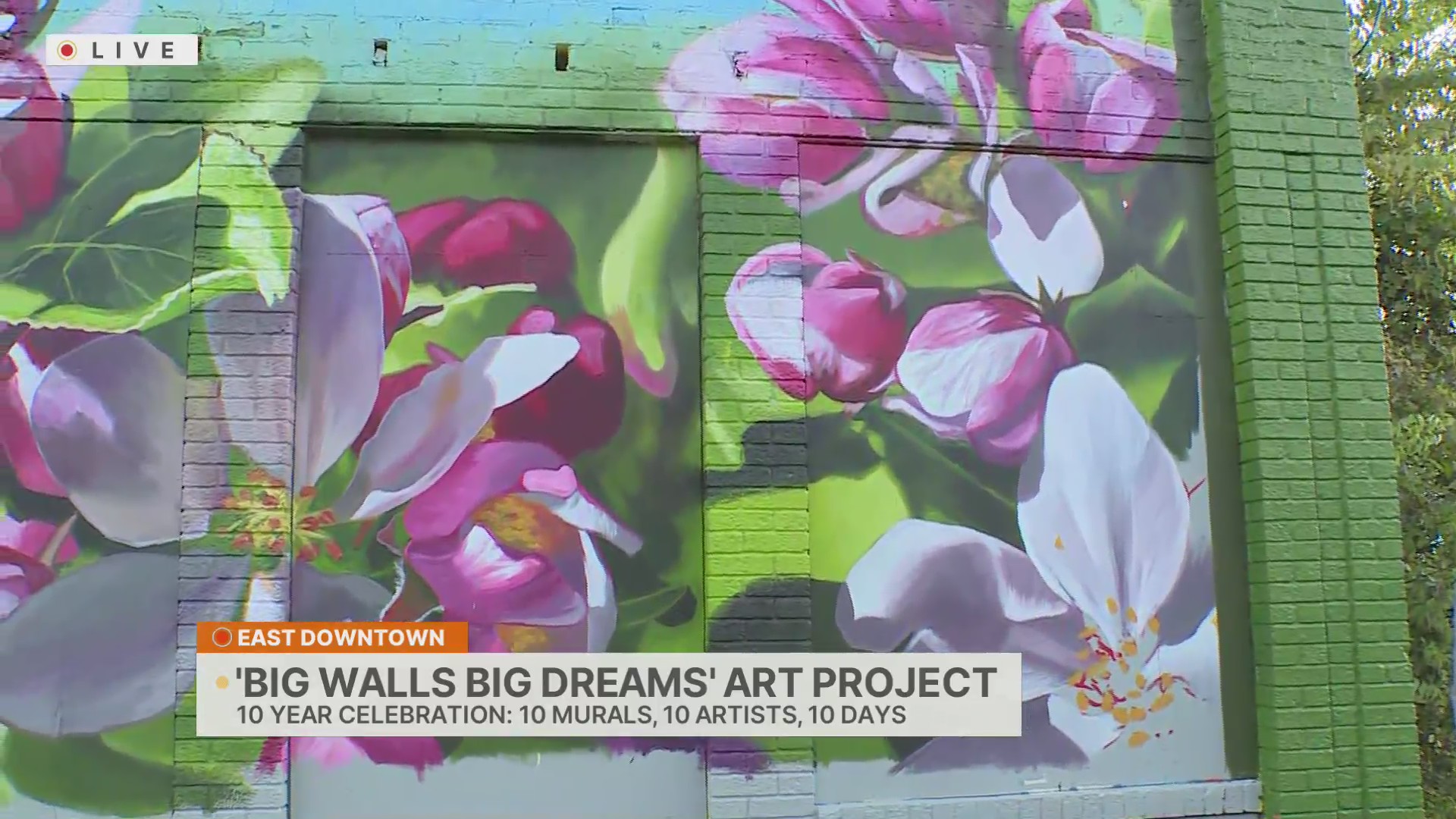 ‘Big Walls Big Dreams’ Art Project Makes its way to Houston | CW39’s ...