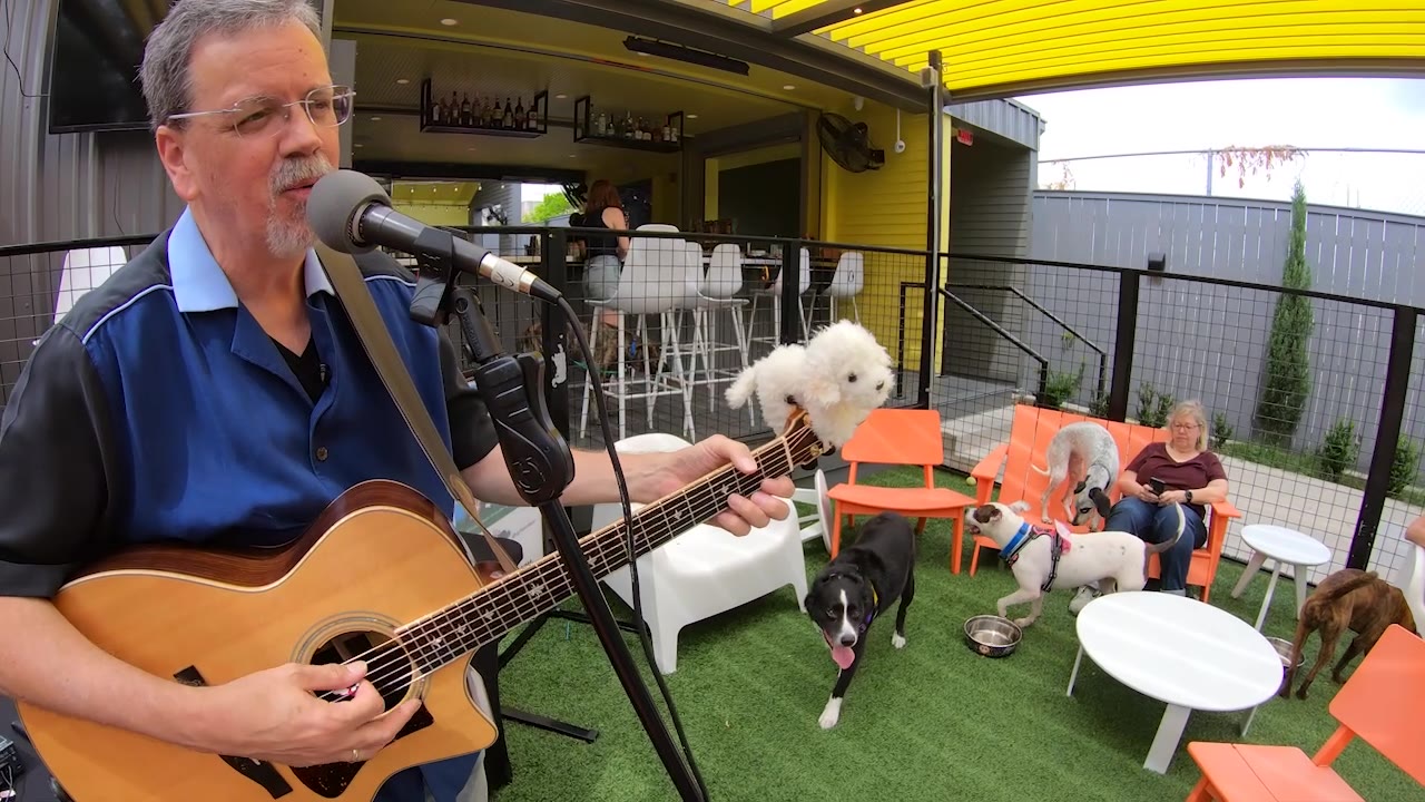 Canine Crooner sings his song for Scrim – the New Orleans escape artist ...
