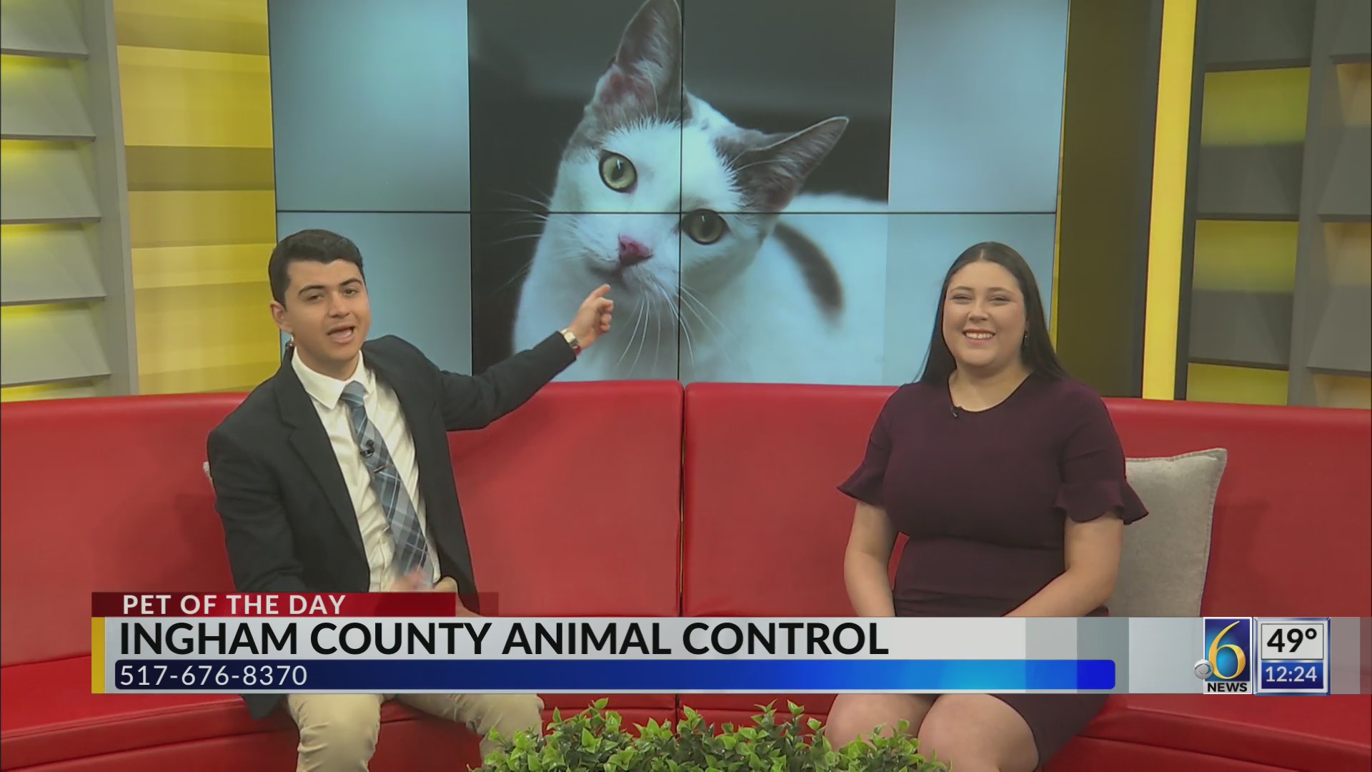 Naunet Pet of the Day – WLNS 6 News