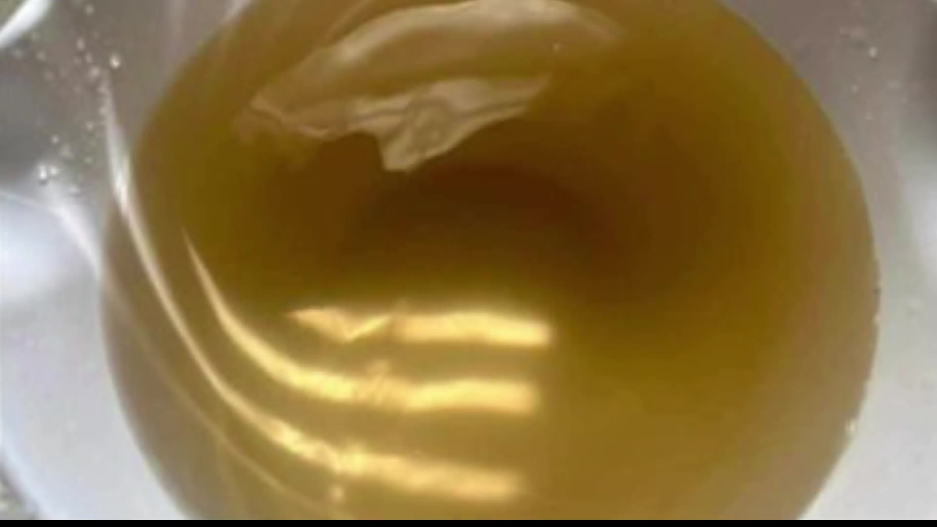 Cameron increases water prices amid quality concerns – WTRF
