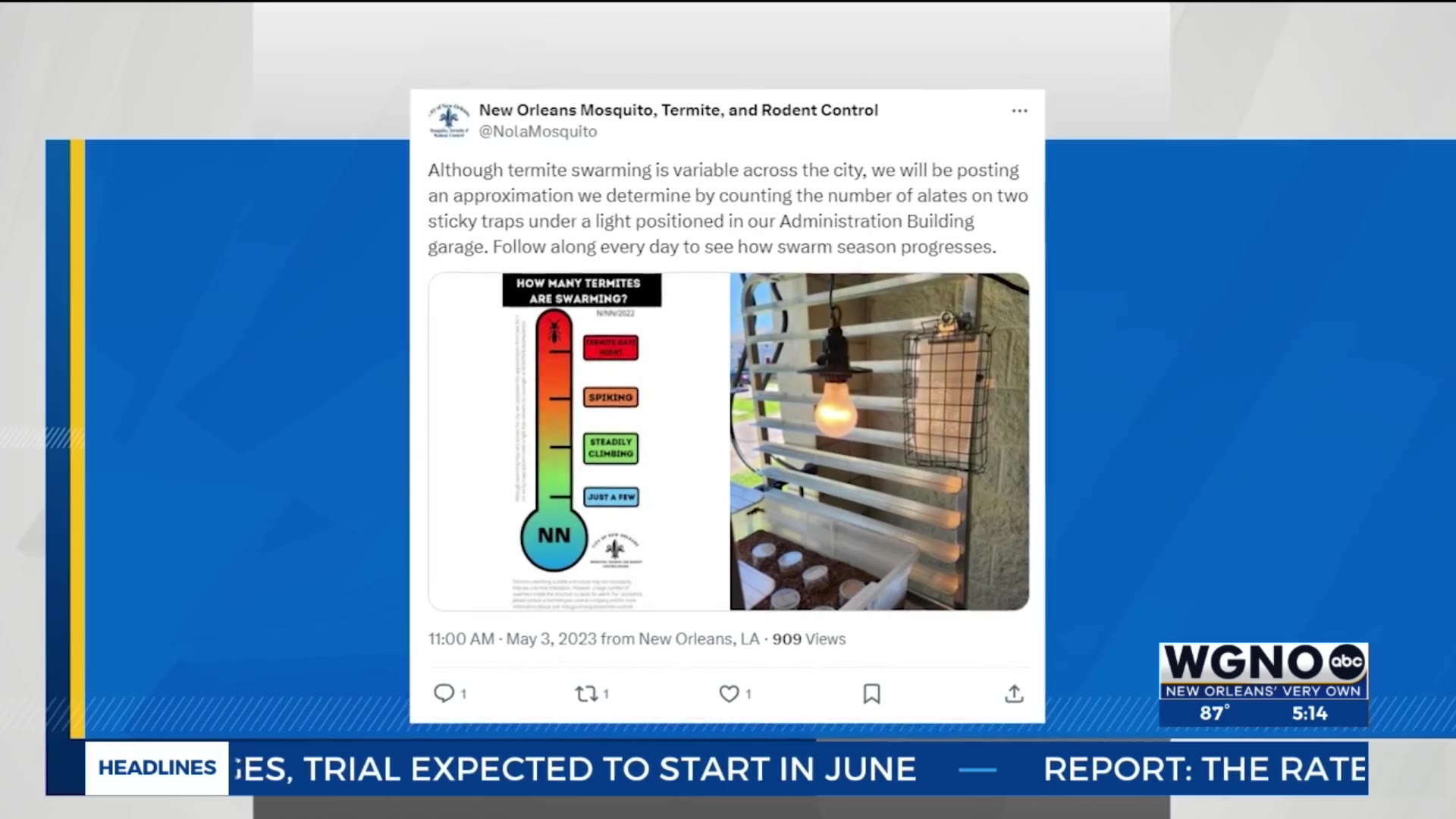 Termite Swarm Meter – WGNO