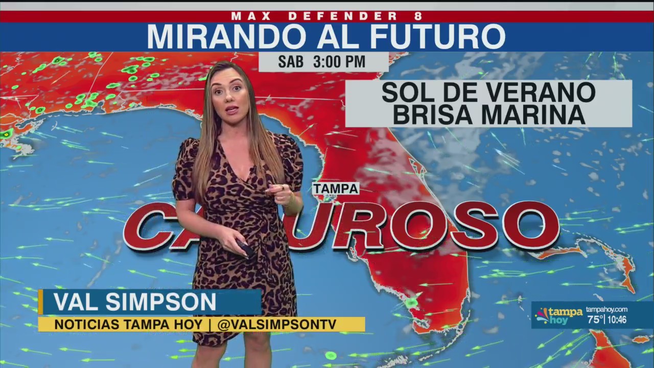 Mucho sol y mayormente secos en Tampa – WFLA