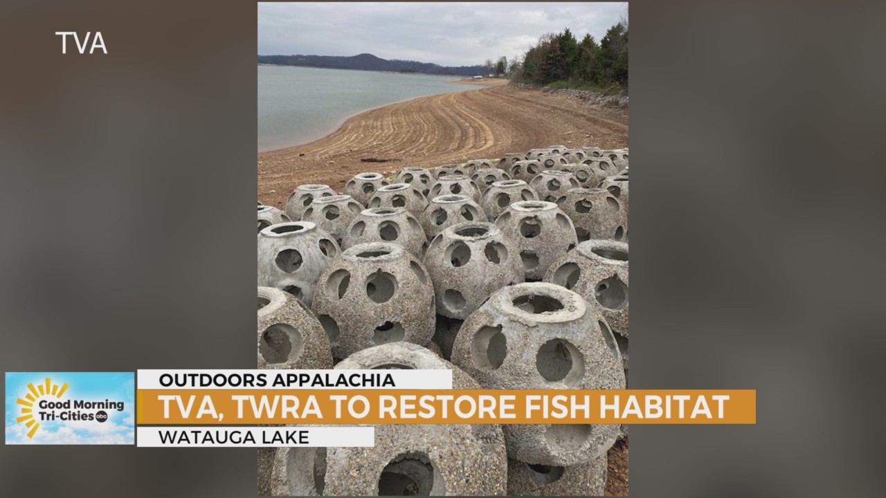 TVA, TWRA to restore fish habitat on Watauga Lake after Helene – WJHL ...
