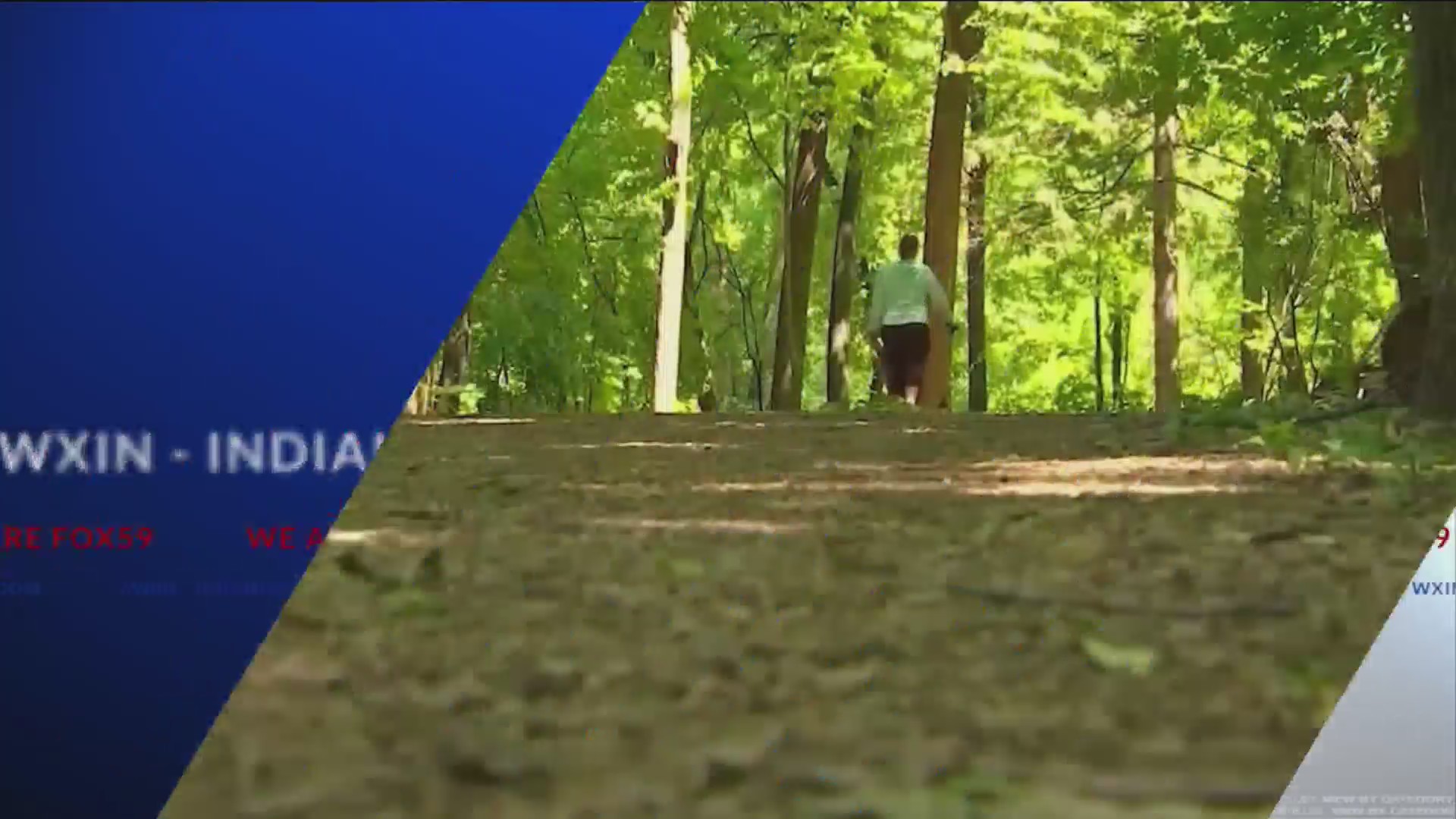 Poison Ivy: Local Pediatrician on what to know and how to treat It – Fox 59