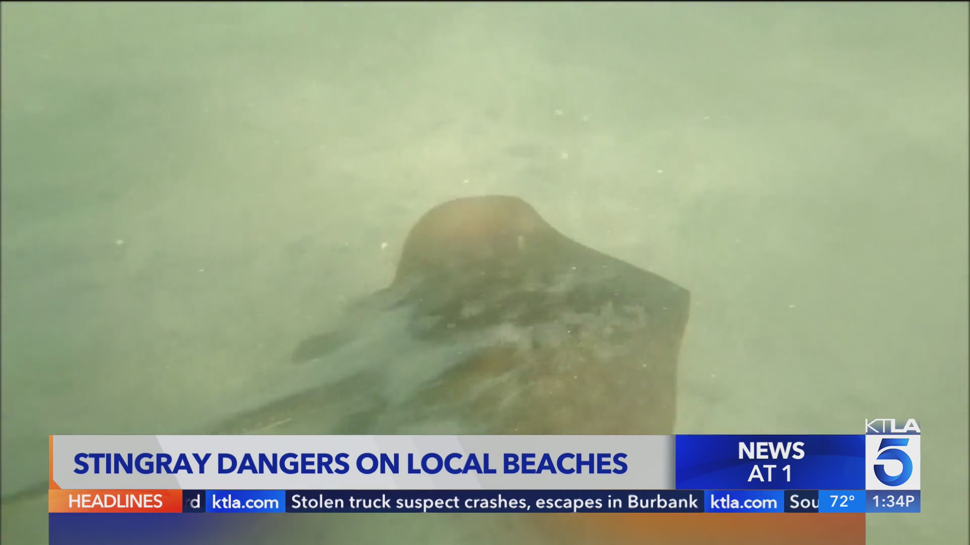 Popular SoCal beach seeing a surge of stingray injuries – KTLA