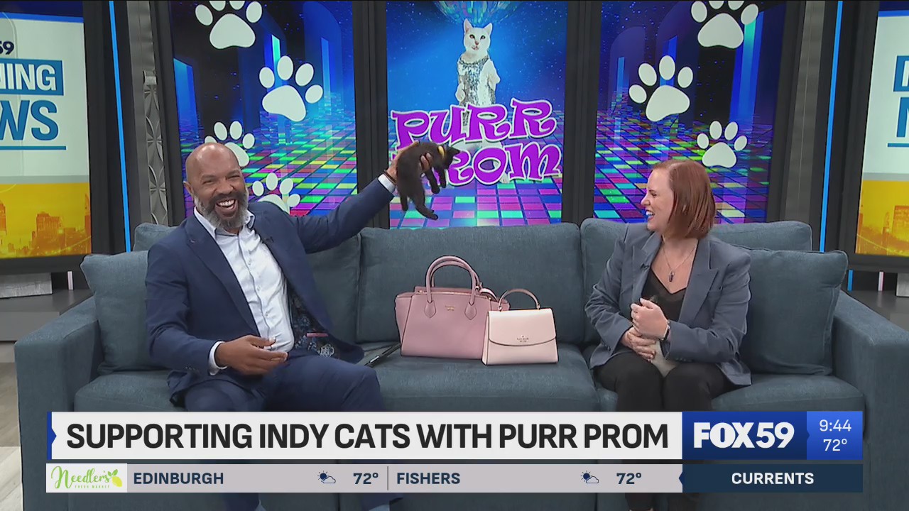 Supporting Indy Cats with Purr Prom – Fox 59