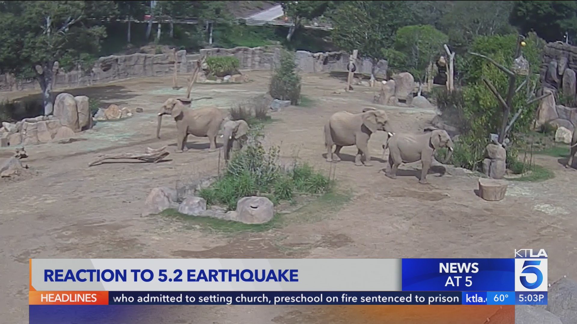 People react to 5.2 quake near San Diego – KTLA