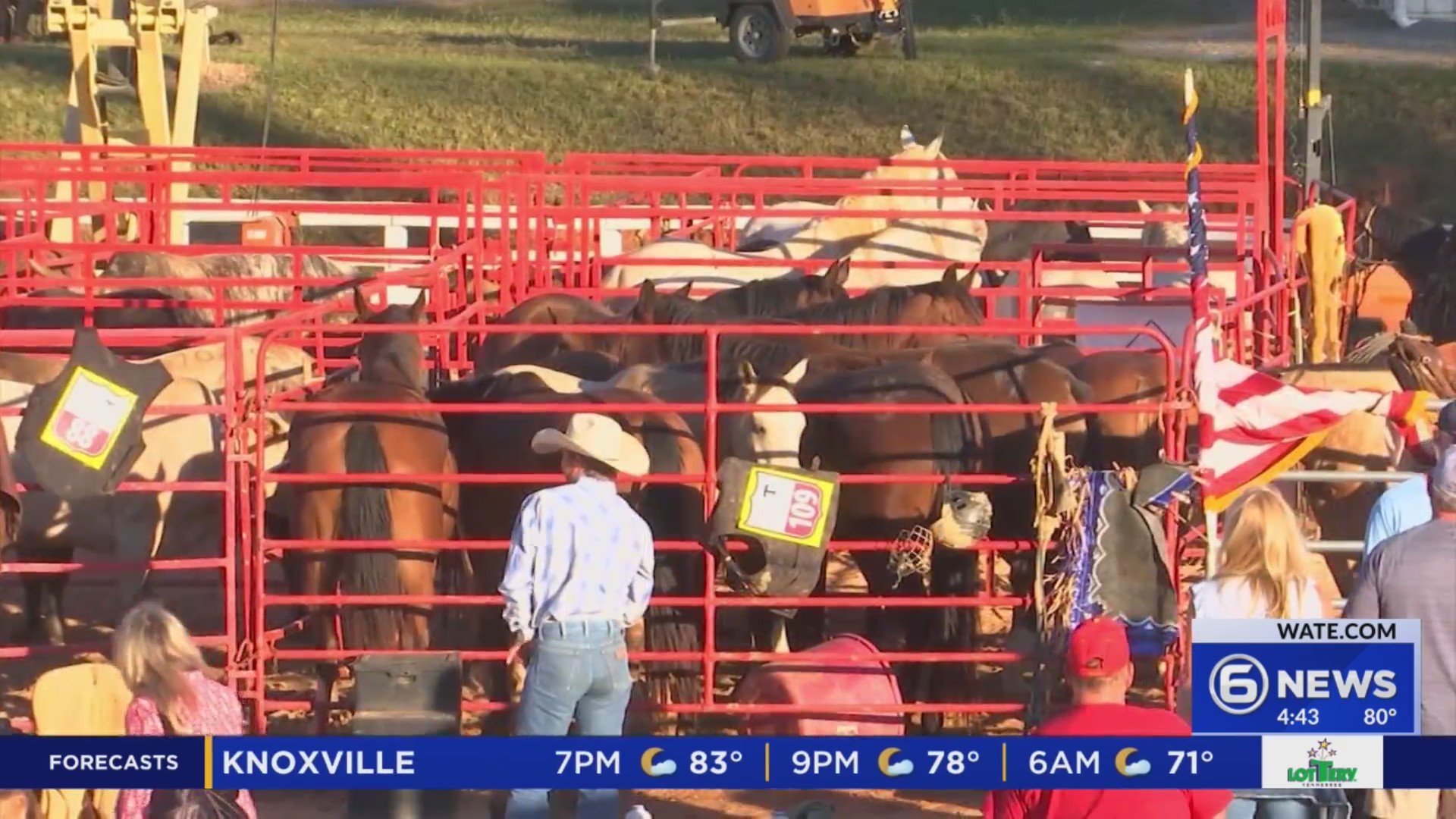 CASA Monroe Rodeo returns to Vonore raising money for victims of child ...