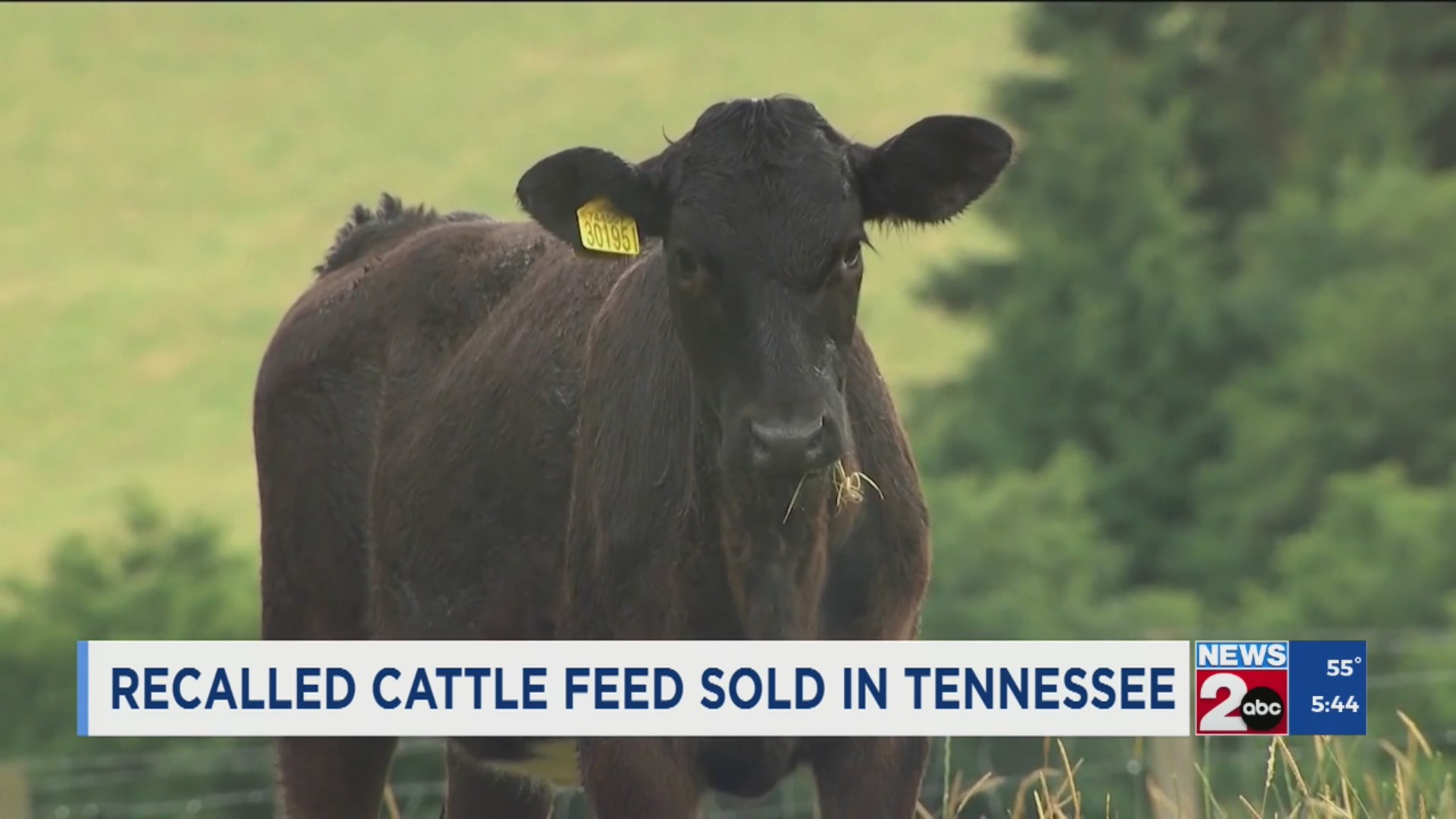 ADM issues recall for cattle feed sold in six states, including ...