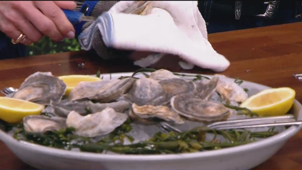 Oh shucks! Oyster shucking tips from Flex Mussels – PIX11