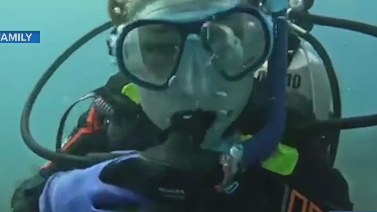 Florida 12-year-old aims to become youngest master scuba diver ...