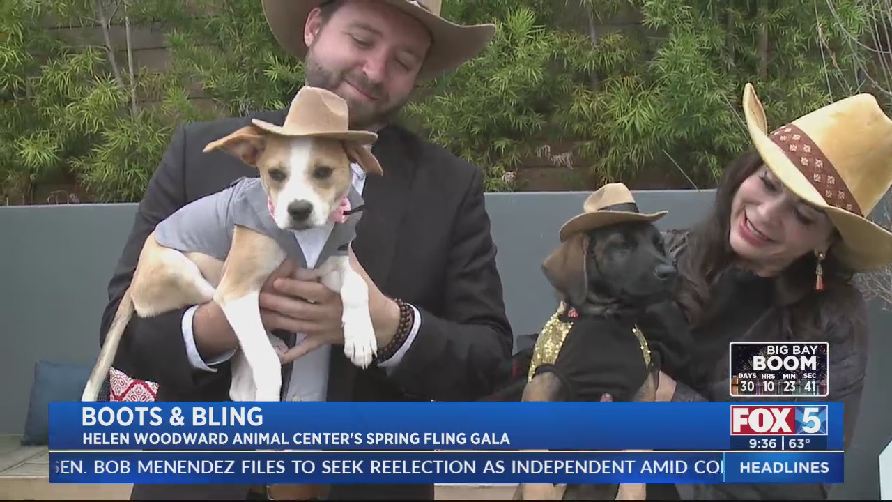 Helen Woodward Animal Center’s Spring Fling Gala – FOX 5 San Diego ...