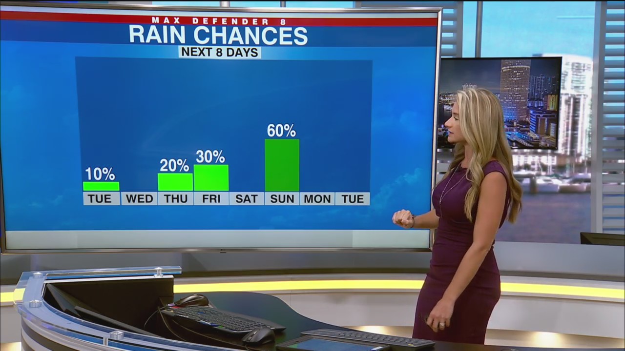 News Channel 8 Today at 4:30 – WFLA