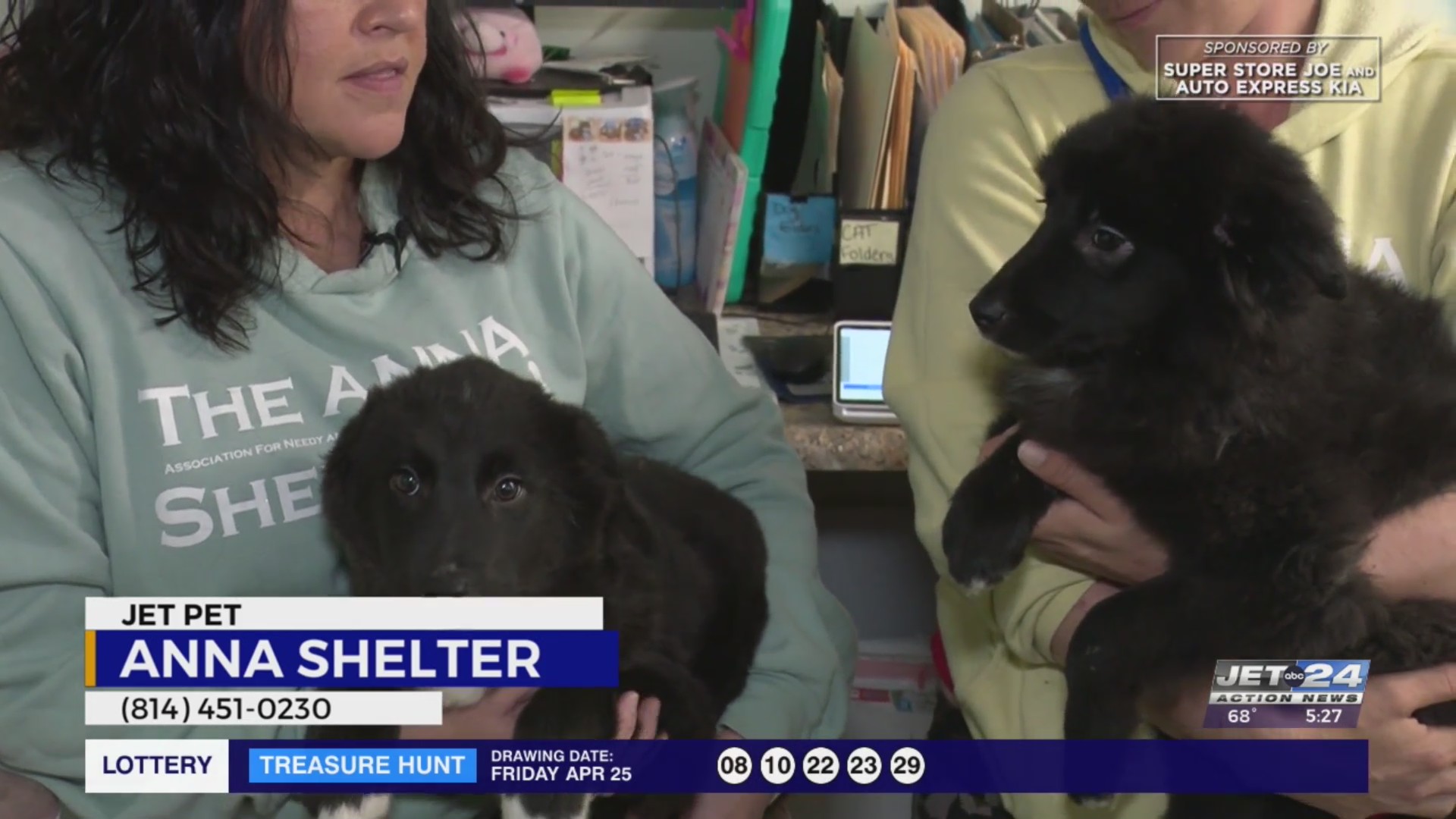 Jet Pet: Newfoundland-border collie mix puppies – WJET/WFXP/YourErie.com