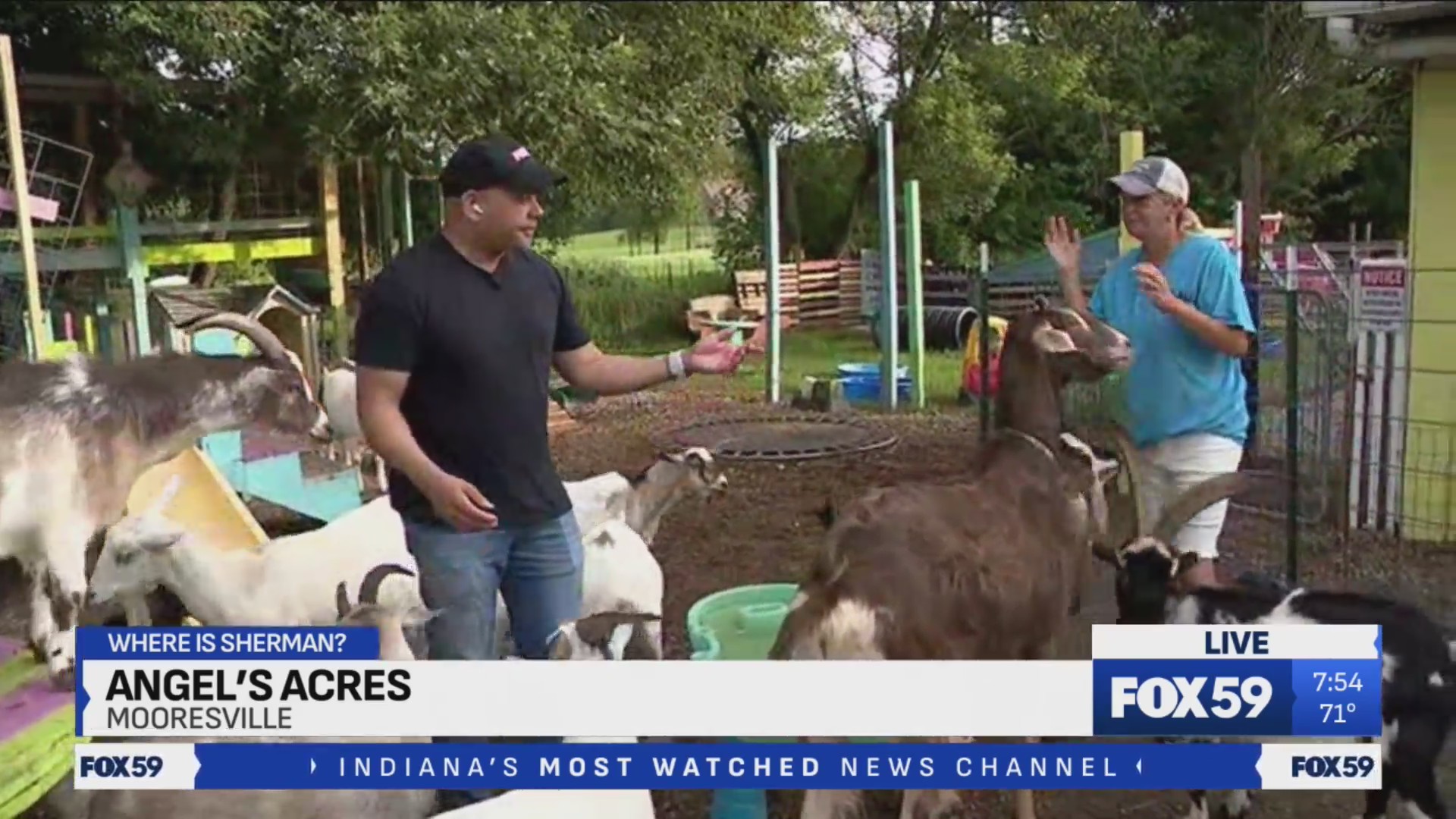 Where is Sherman? Angel’s Acres – Fox 59