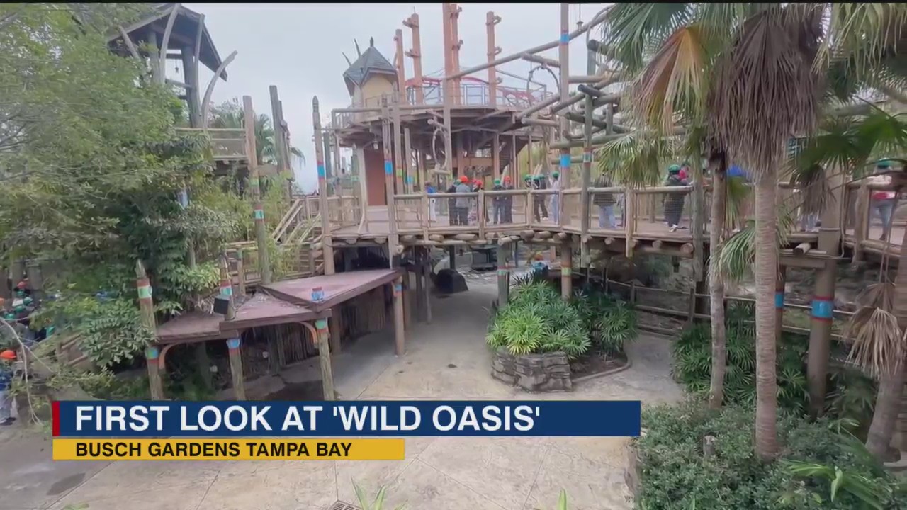 First look at ‘Wild Oasis,’ the newest attraction coming to Busch ...