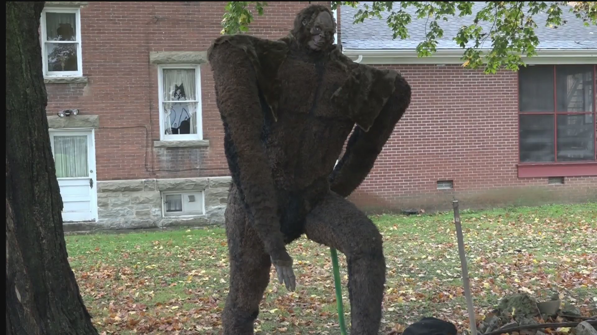 Cryptid statue unveiling in Weston highlights locally made art – DC ...