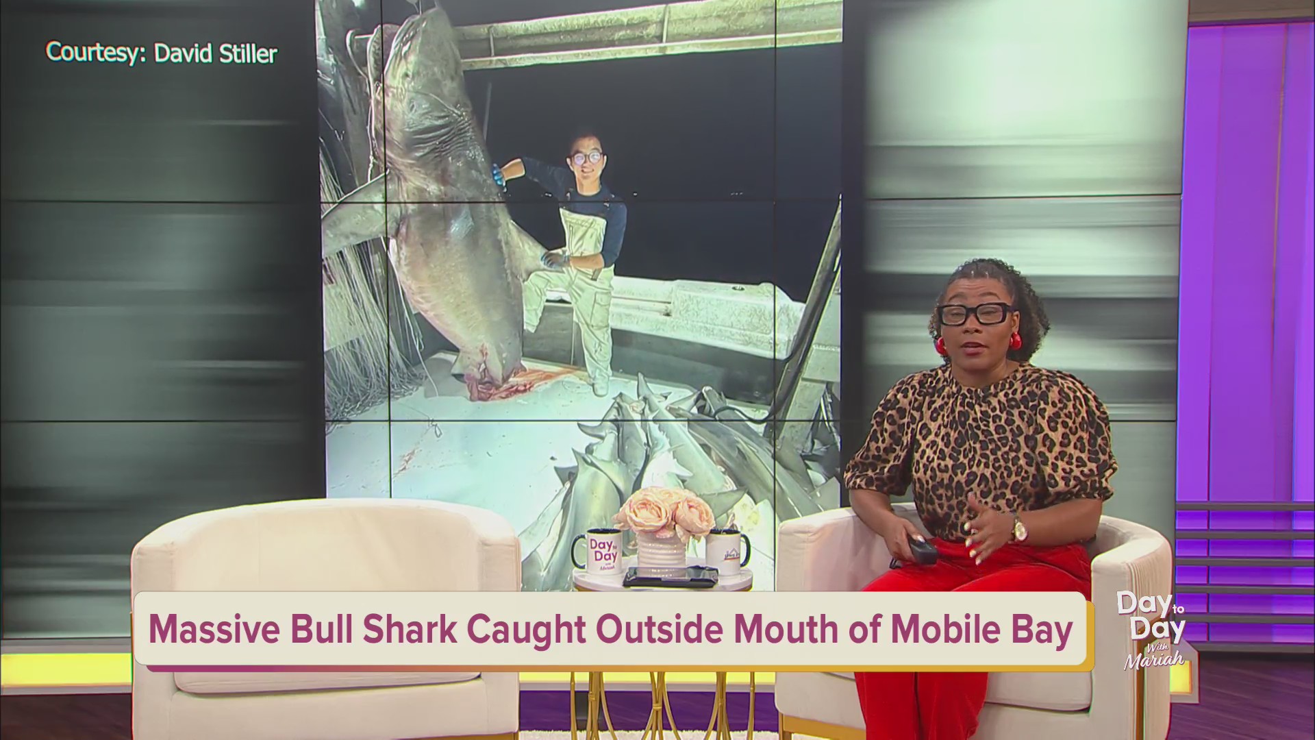 Giant Shark Caught Down at Alabama’s Coast | Day to Day with Mariah ...