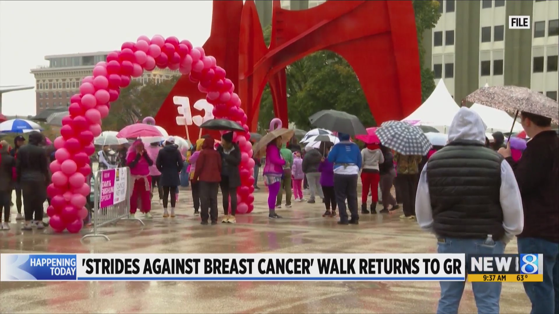Making Strides against breast cancer walk – WOODTV.com