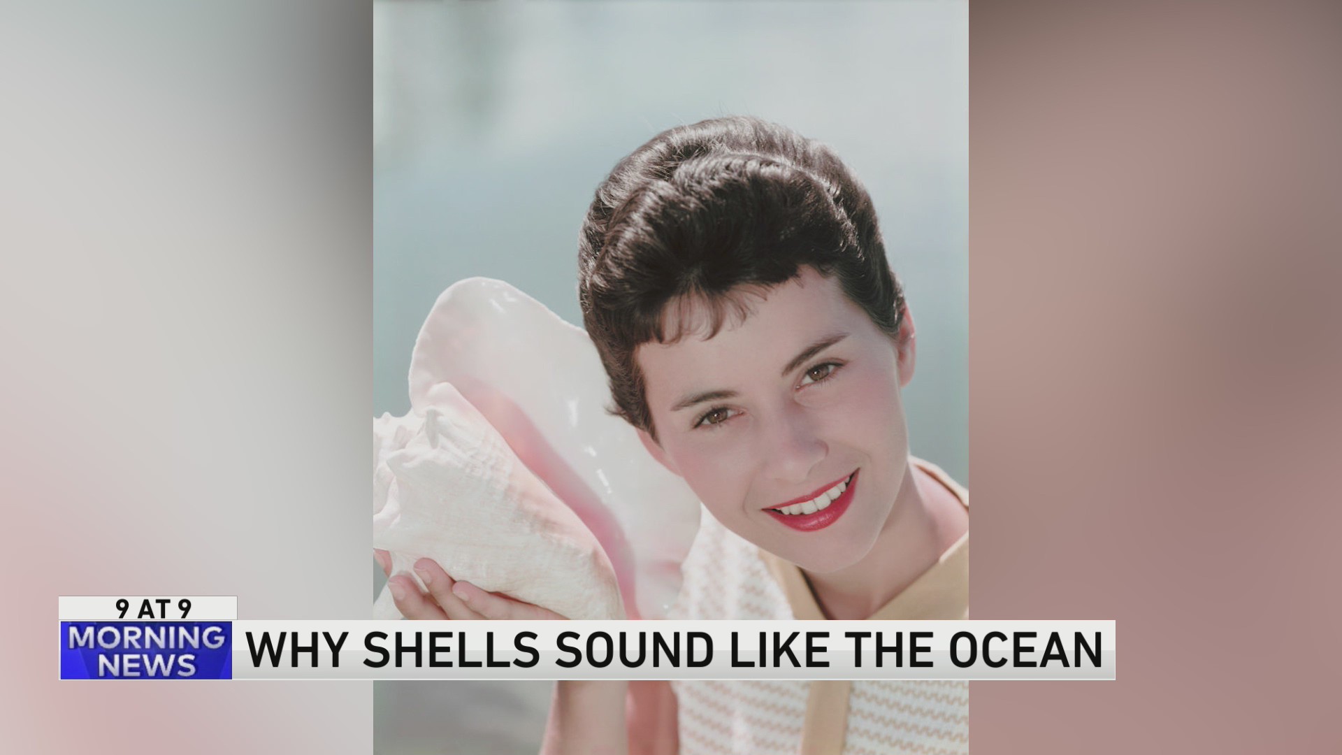 9@9: Why do shells sound like the ocean? – WGN-TV