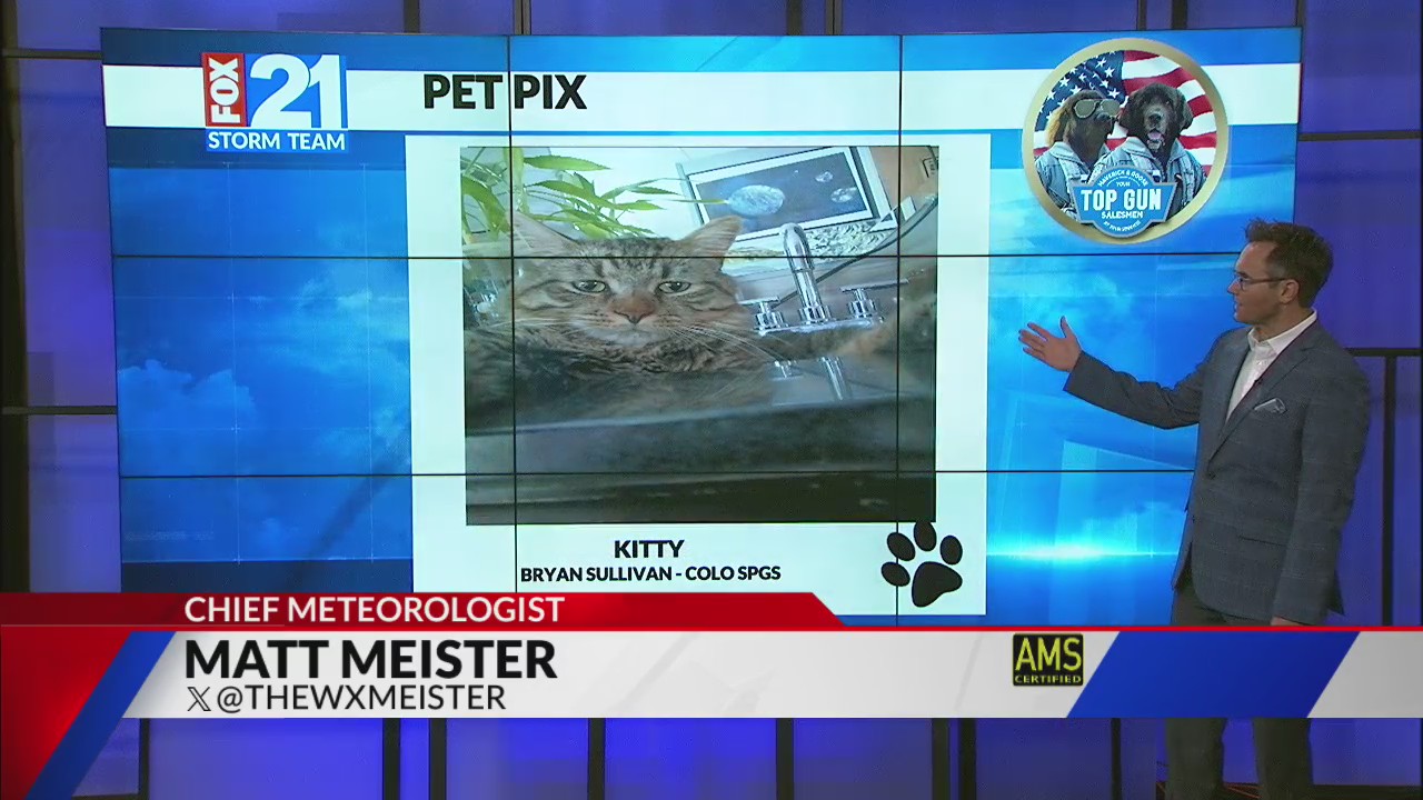 PET PIX, Tuesday, 6/17/2025 – FOX21 News Colorado