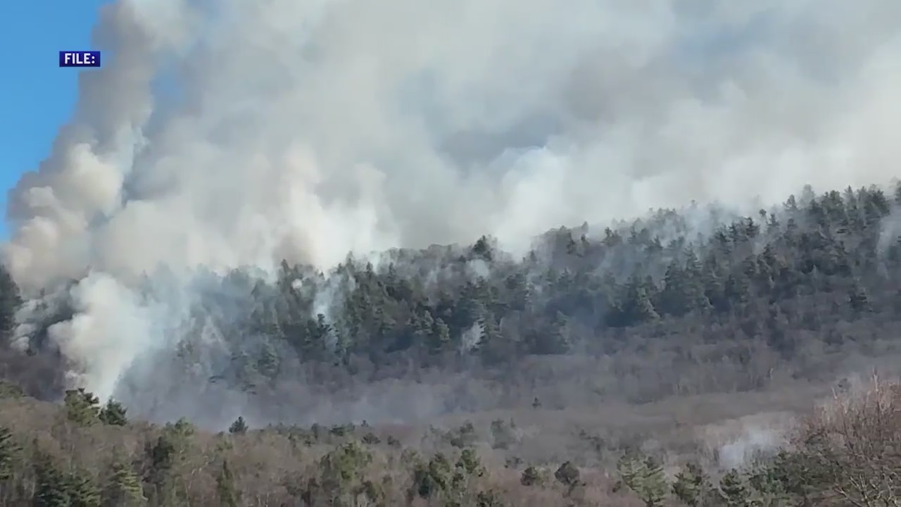 Great Barrington Fire Chief looks back on Butternut brush fire – NEWS10 ABC
