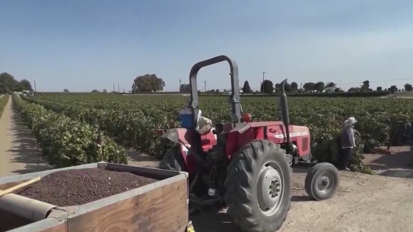 Bankruptcies soar among farmers hit with inflation, ICE raids | Morning ...