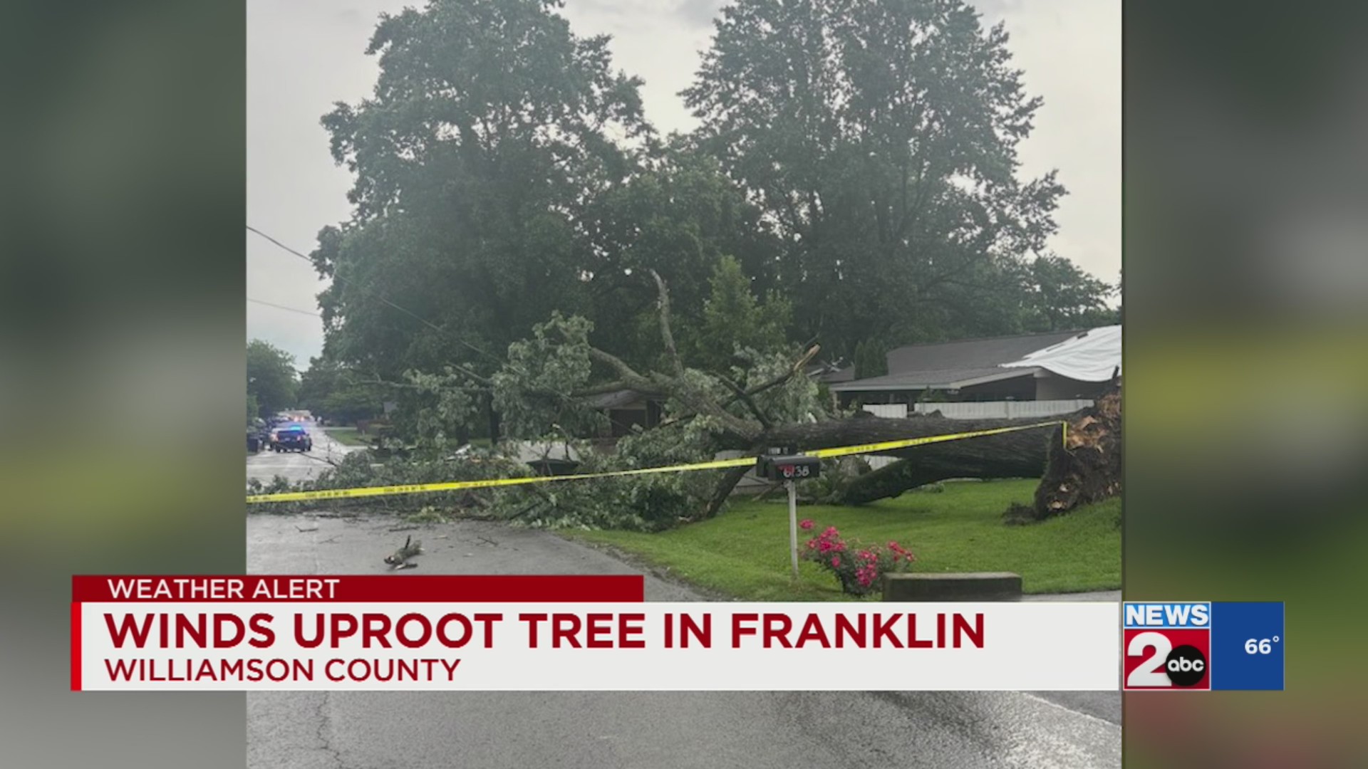 Trees uprooted in Williamson County, TN – WKRN News 2