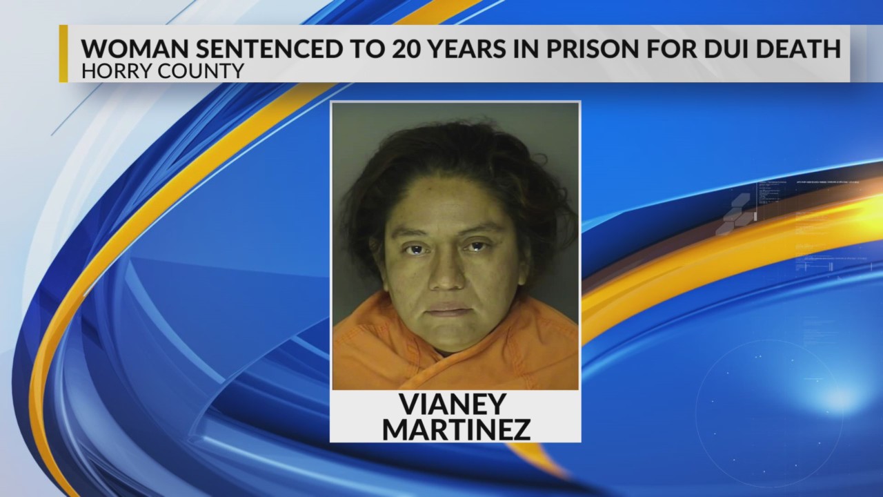 Woman pleads guilty to felony DUI in Horry County crash that killed 23 ...