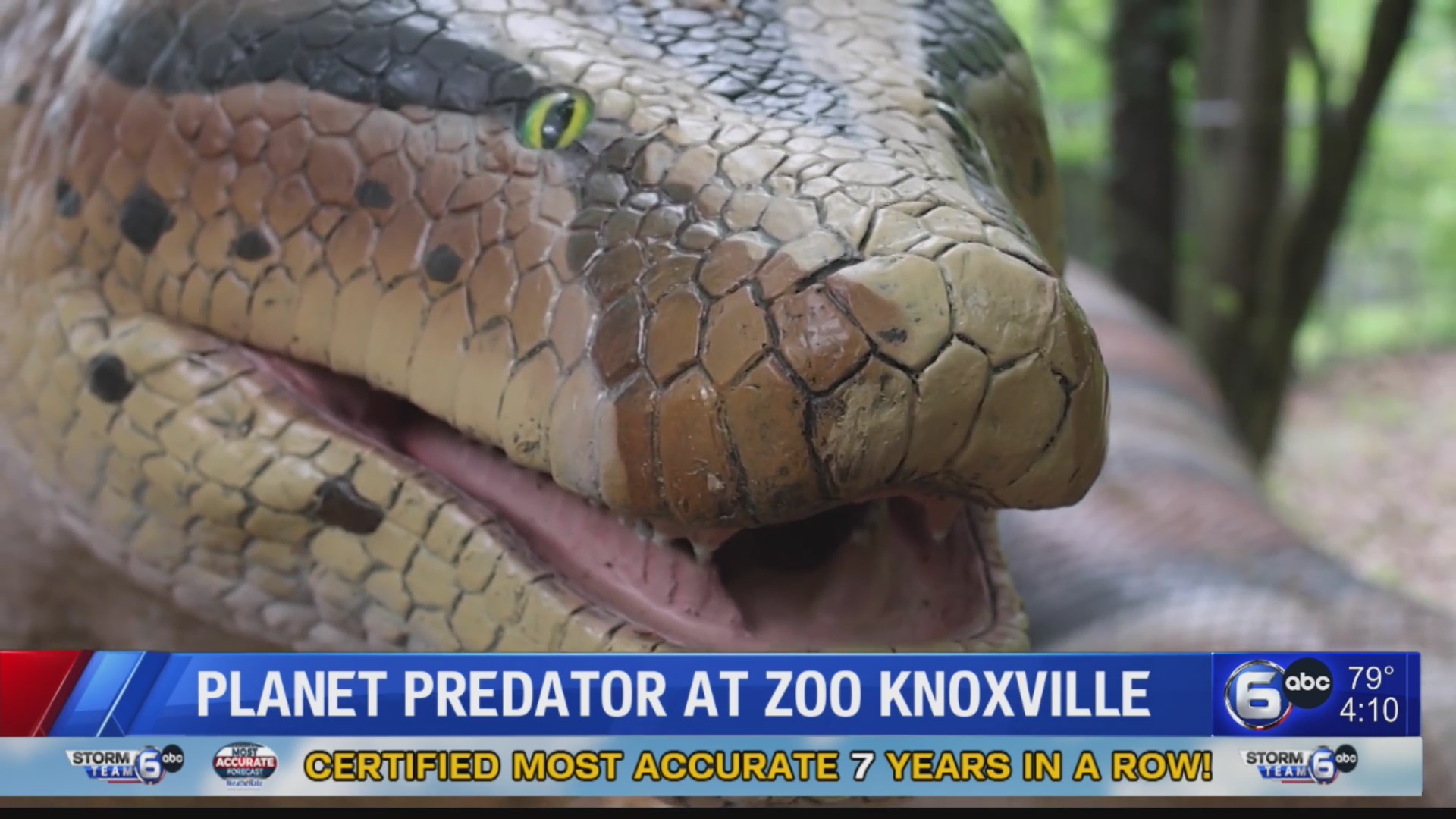 Planet Predator at Zoo Knoxville – WATE 6 On Your Side