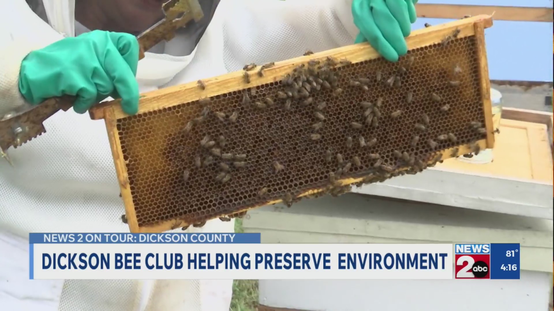 Dickson Bee Club helping preserve environment – WKRN News 2