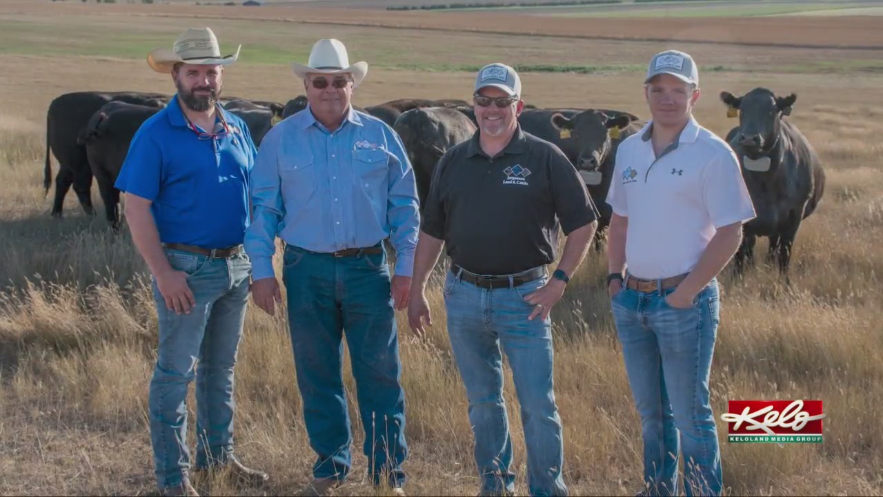 Jorgensen Land & Cattle take a swing at golf – KELOLAND.com